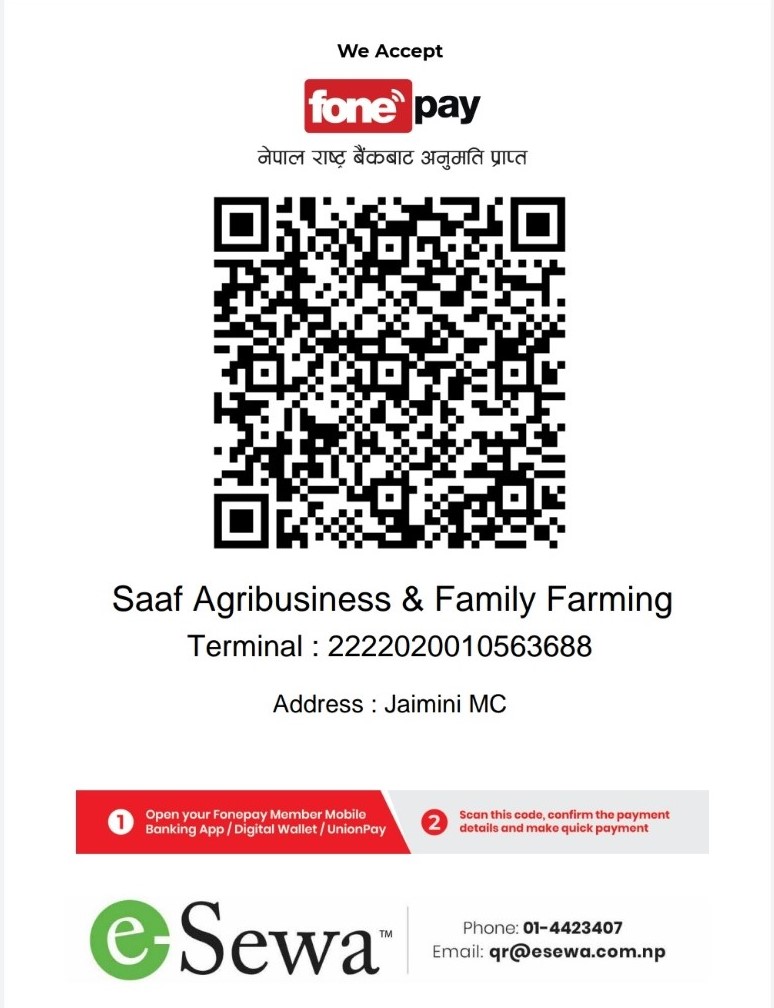 Welcome to SAF Tech - SAF IT Nepal